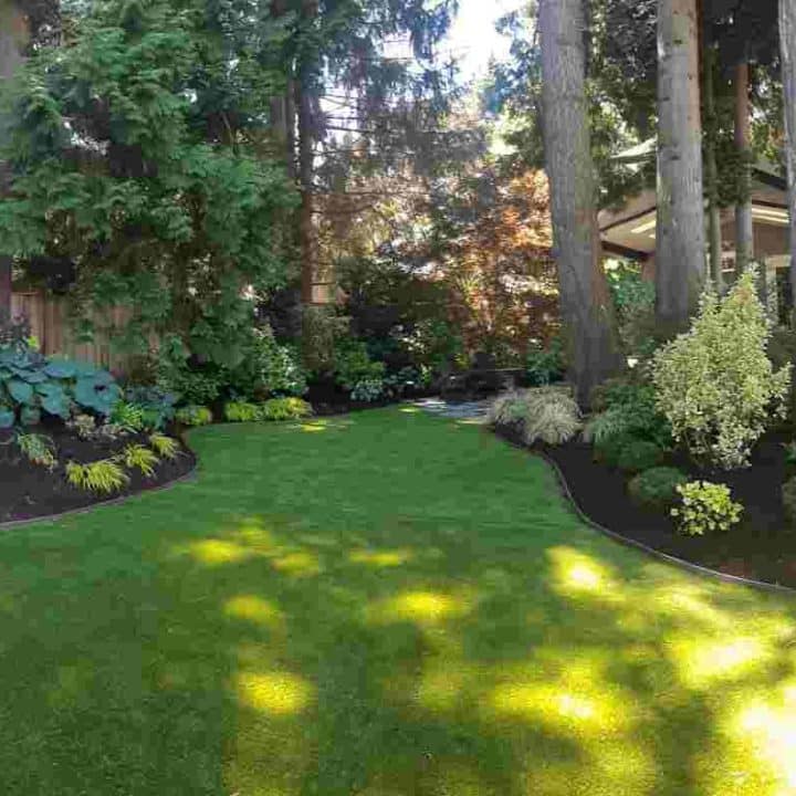 Expert Garden Clean Up Services For A Neat And Tidy Yard